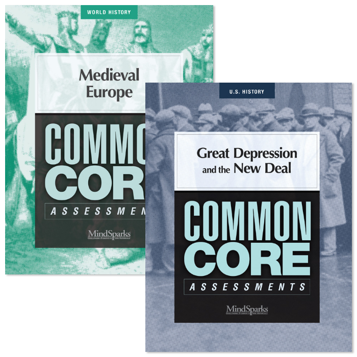 MindSparks | Secondary | TOF - Social Studies School Service